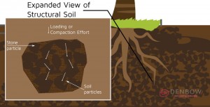 Structural Soil for Urban Trees - Denbow